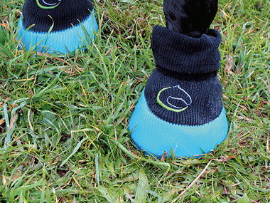 Tubbease - A new breathable Hoof Sock to Revolutionise Poulticing ...