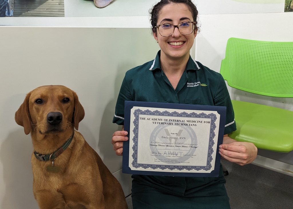 NDSR nurse Emily recognised as VTS in neurology / Veterinary Industry ...