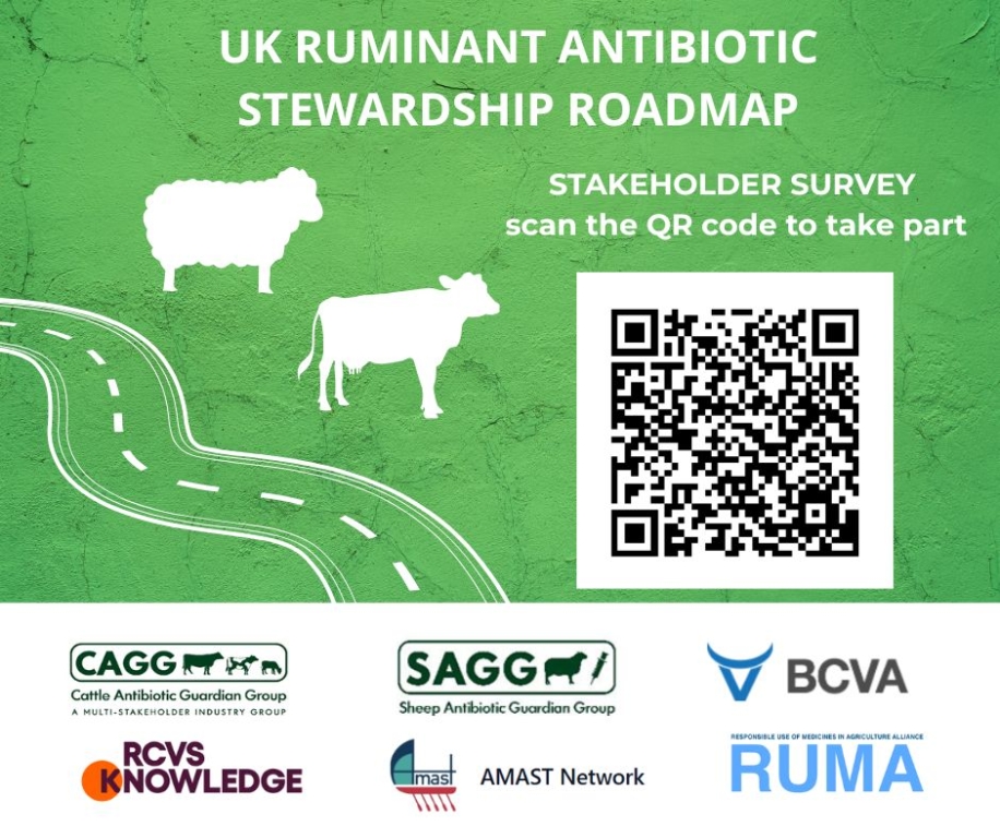 New survey seeks views from ruminant sector on antimicrobial ...