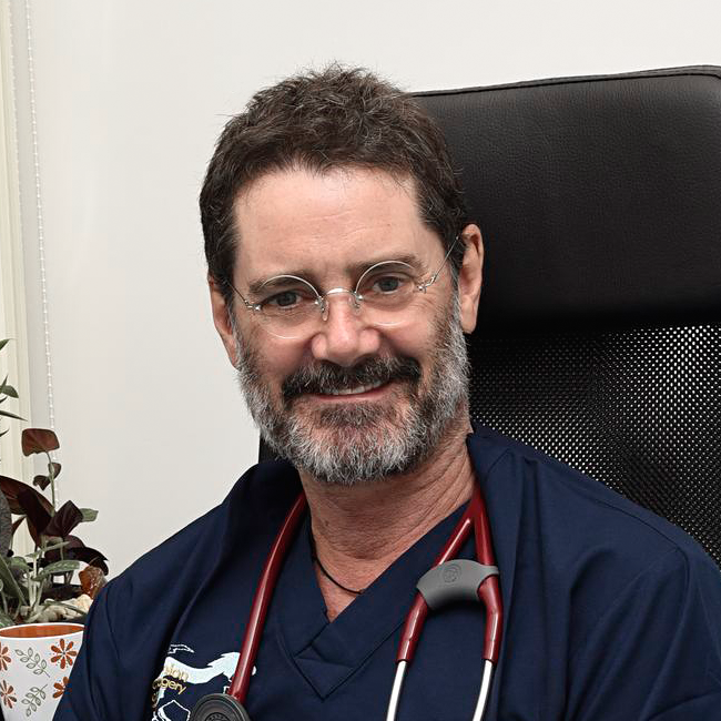 WSAVA Announces Zoetis as new Partner Supporting Efforts to Improve ...