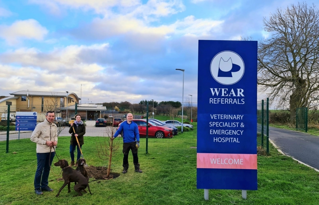 Pet memorial tree-planting scheme launched by Wear Referrals ...