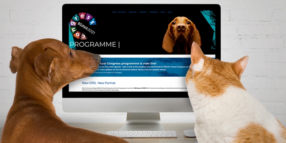BSAVA Congress programme goes live / Veterinary Industry News / VetClick
