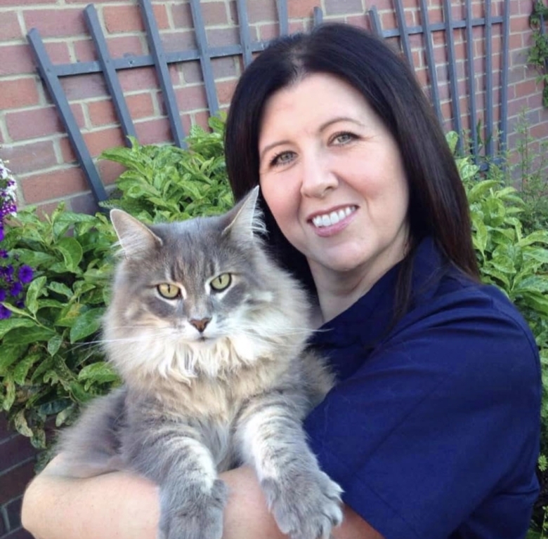 Animal Trust Vets Barnsley Achieves Gold International Cat Friendly ...