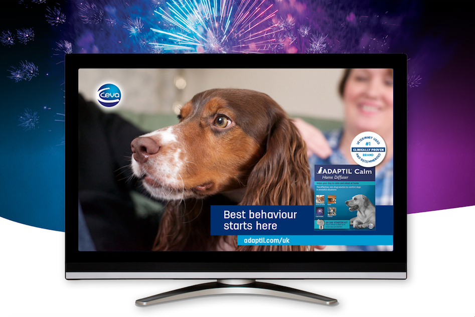 Ceva launches ADAPTIL TV advertising campaign in the run up to the ...