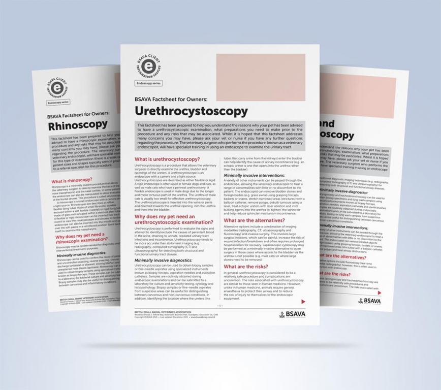 BSAVA adds new endoscopy series to Client Information Leaflets ...