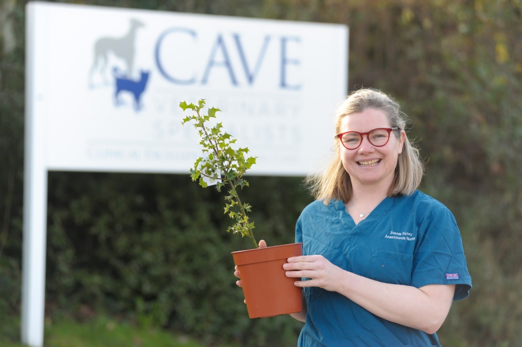 Cave Veterinary Specialists launches novel tree planting initiative to ...