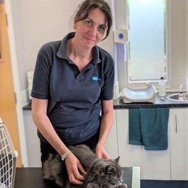 Cat Friendly Accreditation Continues for Vale Vets / Veterinary ...
