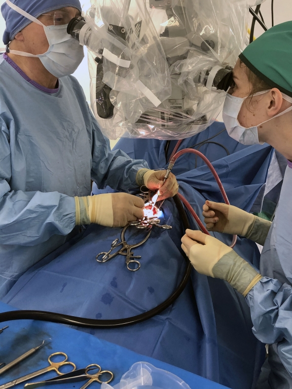 Paragon Veterinary Referrals invests £20,000 in state-of-the-art ...