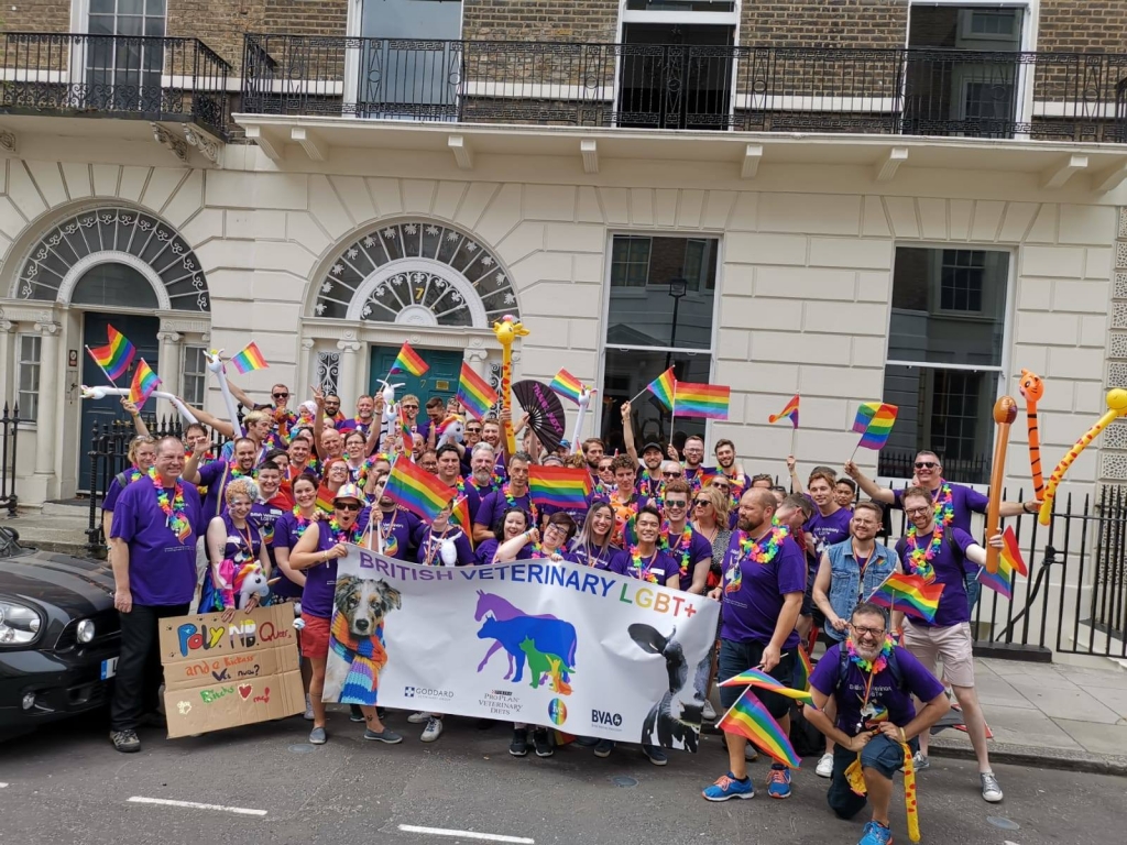IVC March in this Years London Pride / Veterinary Industry News / VetClick
