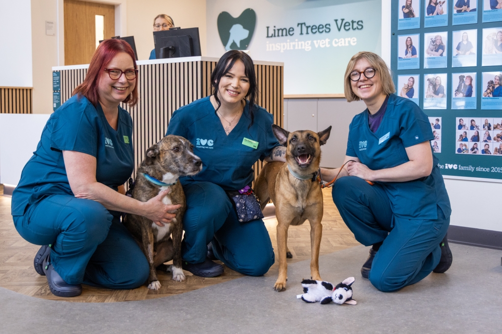 IVC Evidensia introduces new unified UK brand: inspiring vet care ...
