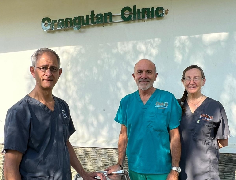Cambridge vets deliver dental unit to Borneo orangutan rescue centre ...