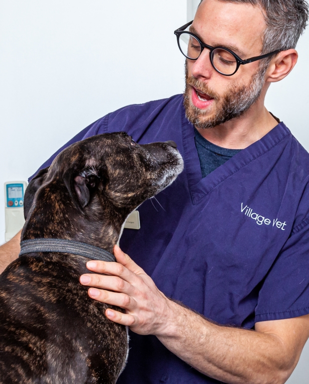 Charity founder Sam lands top Village Vet position / Veterinary ...