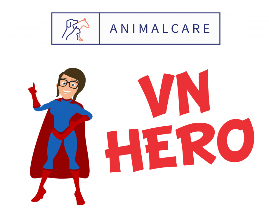 Animalcare Celebrates the UK’s Vet Nurse Heroes / Veterinary Industry ...