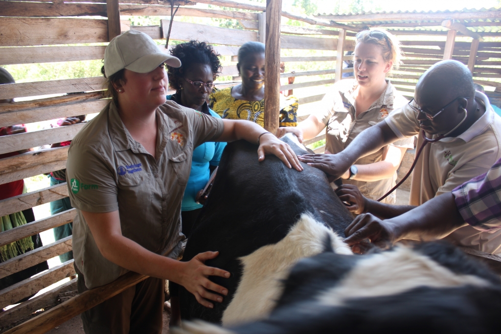 XLVets raises £60,000 and makes a practical difference with Send A Cow ...