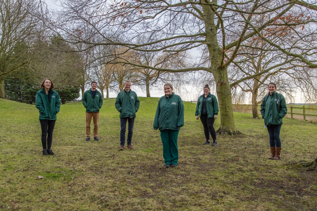 Double Green Awards win for Linnaeus / Veterinary Industry News / VetClick