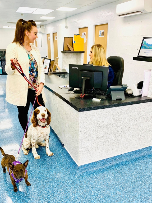 Veterinary company becomes UK first to receive CIC status / Veterinary ...