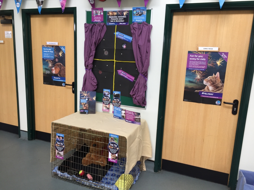 Ceva launches its fireworks waiting room display competition ...