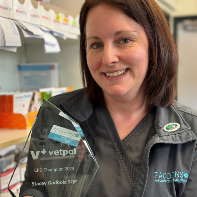 Veterinary Receptionist Named Vetpol’s 2023 CPD Champion / Veterinary ...
